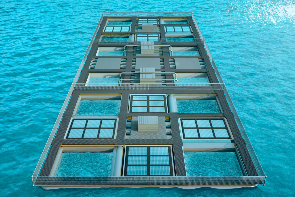 Milestones – NOVATON AG