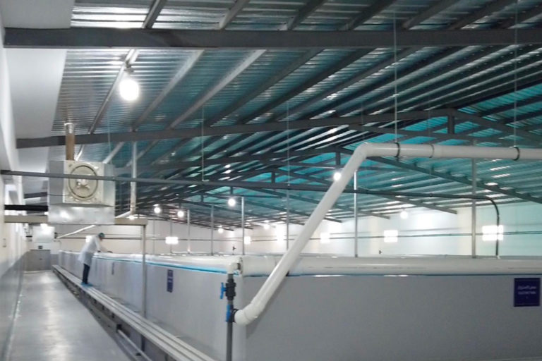 NOVASPHERE – NOVATON AG